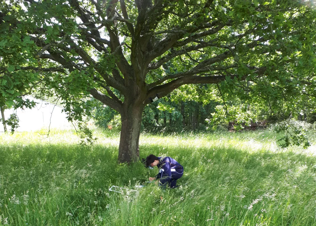 Sixth Form Ecology Fieldwork: Mapping Habitats on the Park - Leighton Park